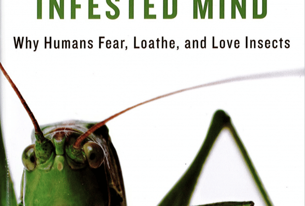 Pourquoi c'est important d'aller à l'école ? - Poupala